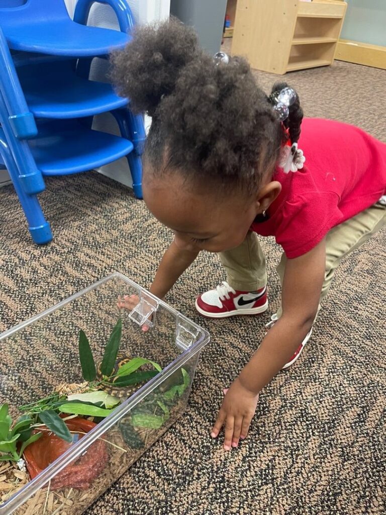 Photo Gallery – Light Years Child Development Center